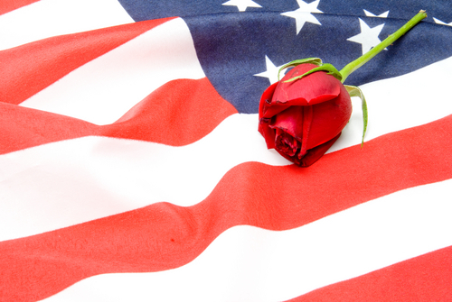Popular Flowers For Veteran's Day - Central Square Florist - Central ...