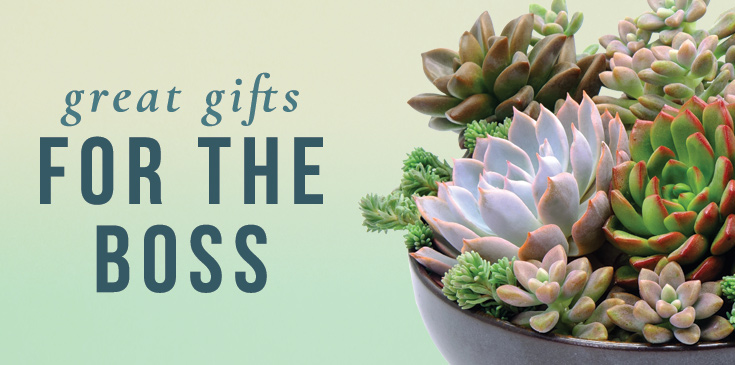 Flowers For Your Bosses Desk On Their Day - Central Square Florist ...