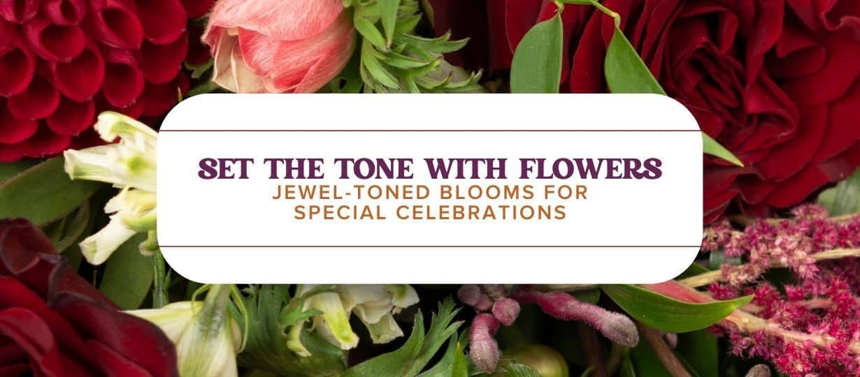 UNCOVERING THE BRILLIANCE OF JEWEL-TONED BLOOMS - Central Square ...